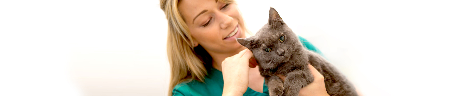 Visit One Of Local Our South London Vets | London Vets