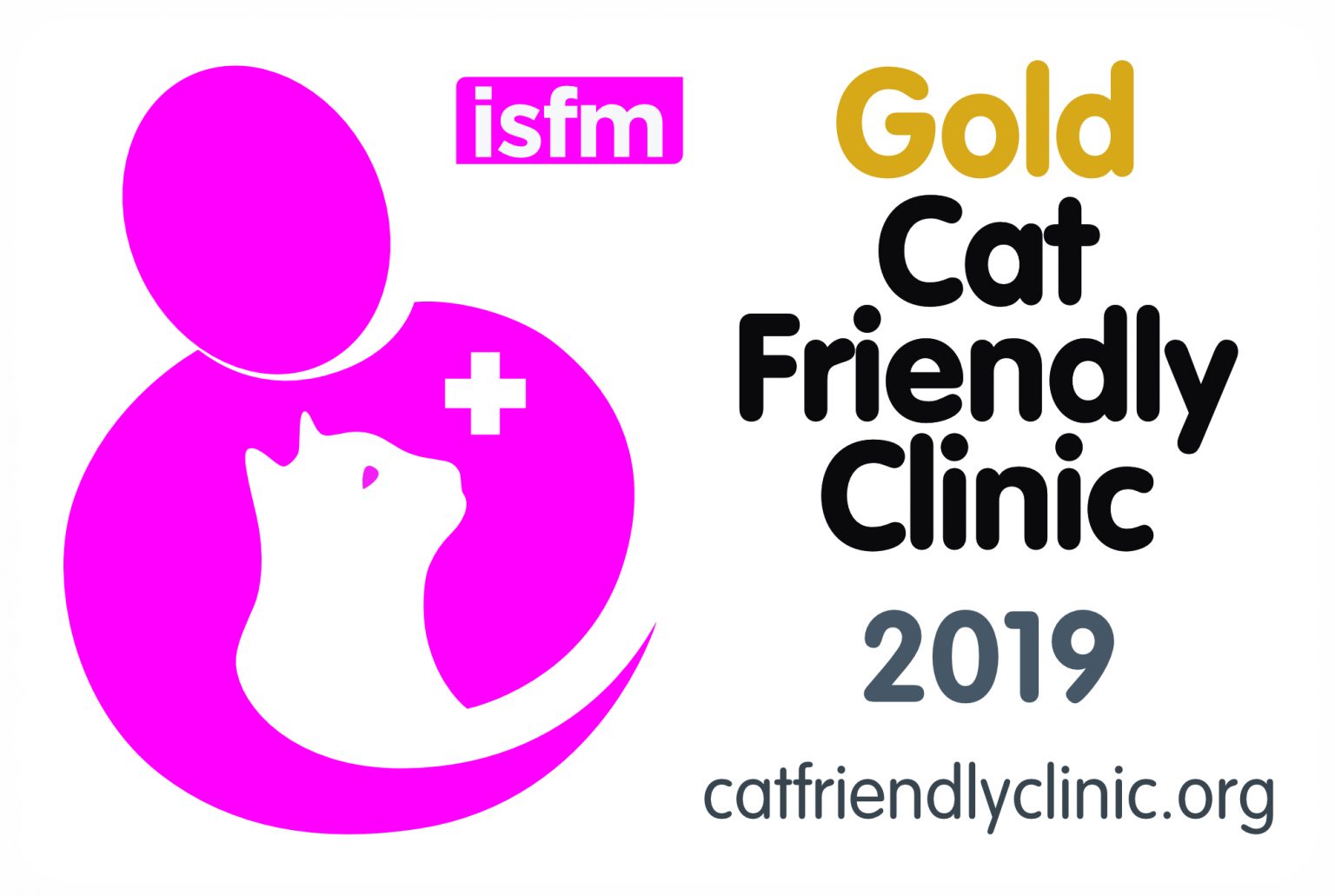 Cat Teeth Extraction Cost in London: A 2026 Price & Care Guide