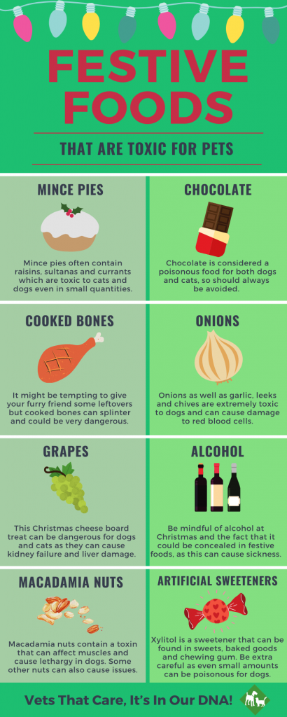 Our Tips For Keeping Your Pets Safe At Christmas… | London Veterinary ...