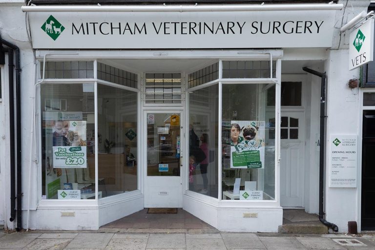 Our Surgeries | London Veterinary Surgeries