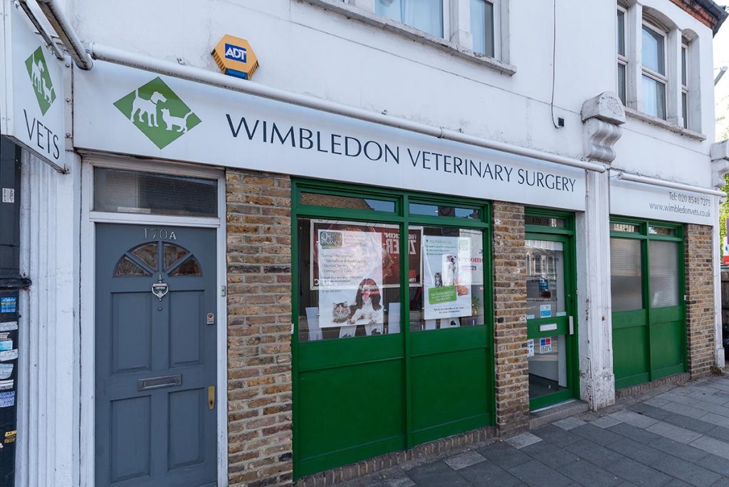 Our Surgeries | London Veterinary Surgeries