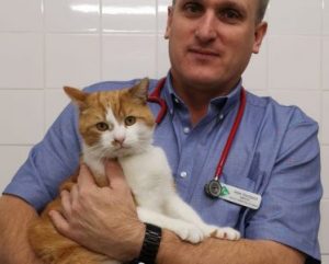 Recruitment | London Veterinary Surgeries