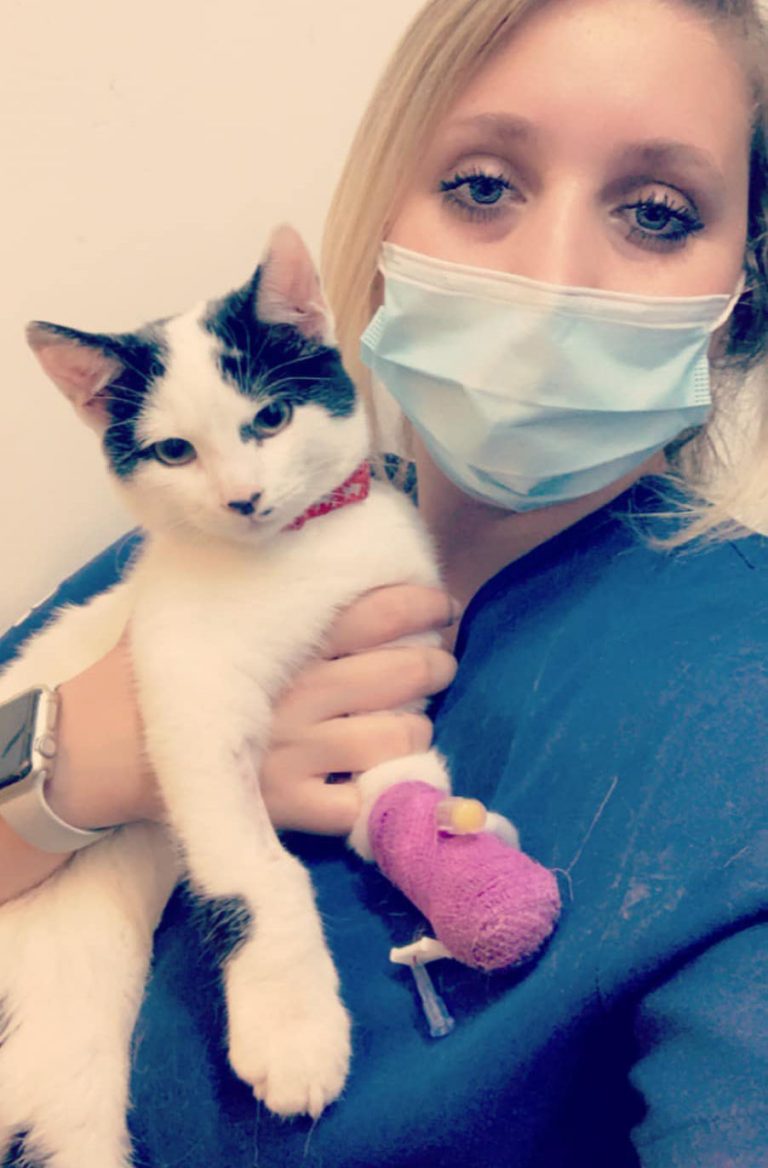 Summer Stories From London Vets | London Vets