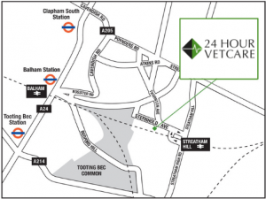 Emergency 24 Hour Vetcare - London Veterinary Surgeries