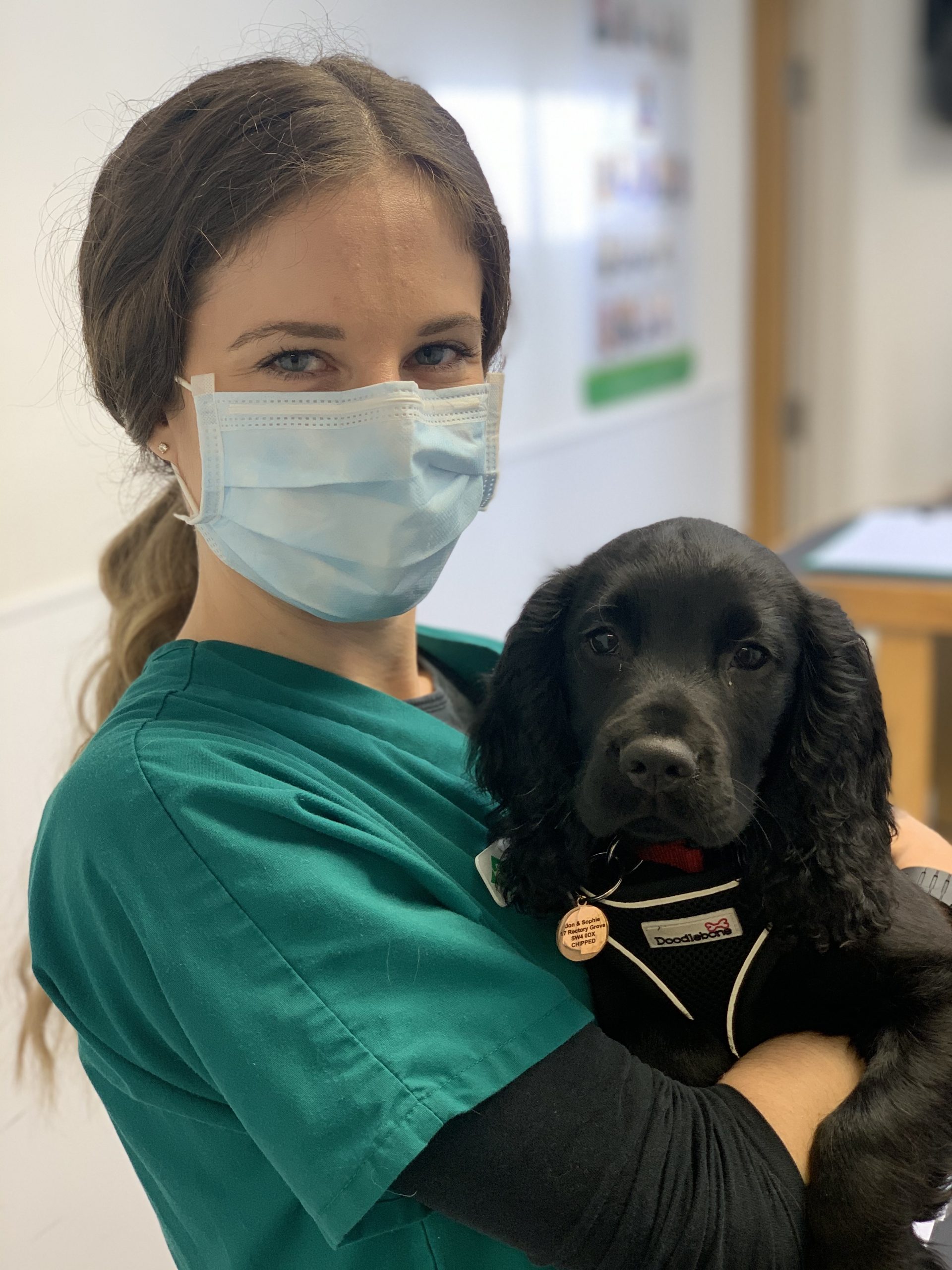 Vet Opportunities - London Veterinary Surgeries