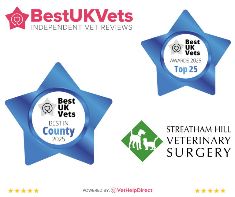 Awards and Accreditations | London Veterinary Surgeries